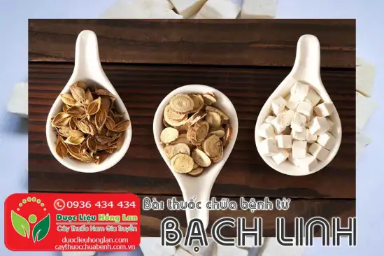 Bạch Linh là gì?, Giá bán sỉ 230.000đ & lẻ? Địa chỉ bán?, Công dụng tác ...