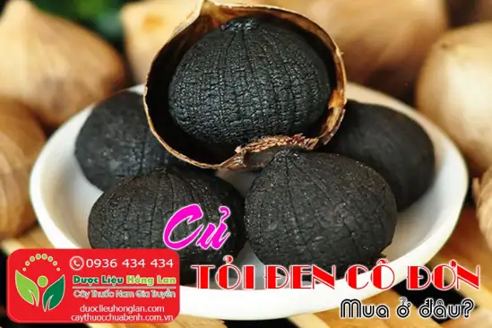 Tỏi đen là gì? Giá bán sỉ & lẻ? Địa chỉ bán? Công dụng tác dụng? Cách ...